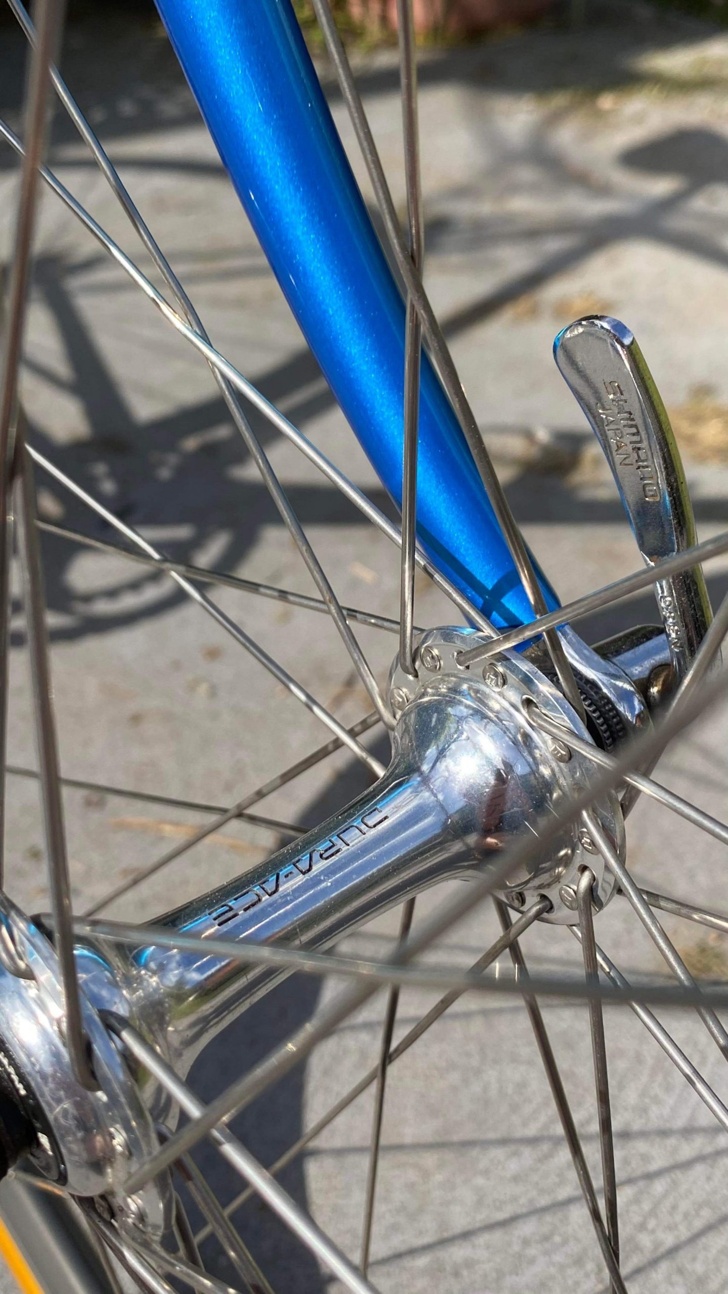 Motorola TSX – Millfield Velo